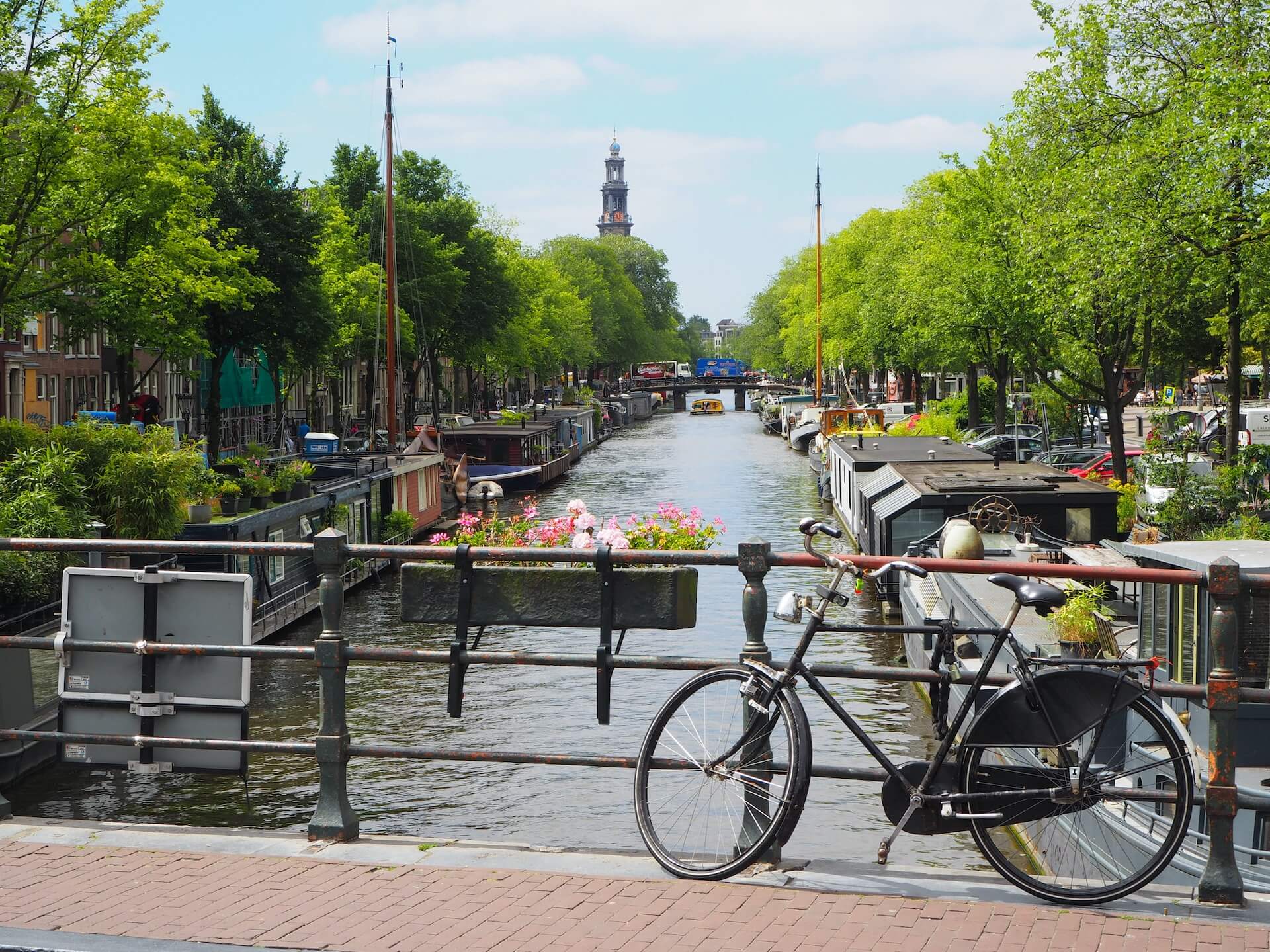 Ontdek de leukste weetjes over Nederland - Wist je dat weetjes
